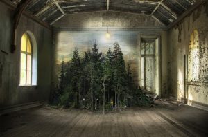 SUZANNE MOXHAY – Artist Focus – Visual Fodder – Global visual arts platform